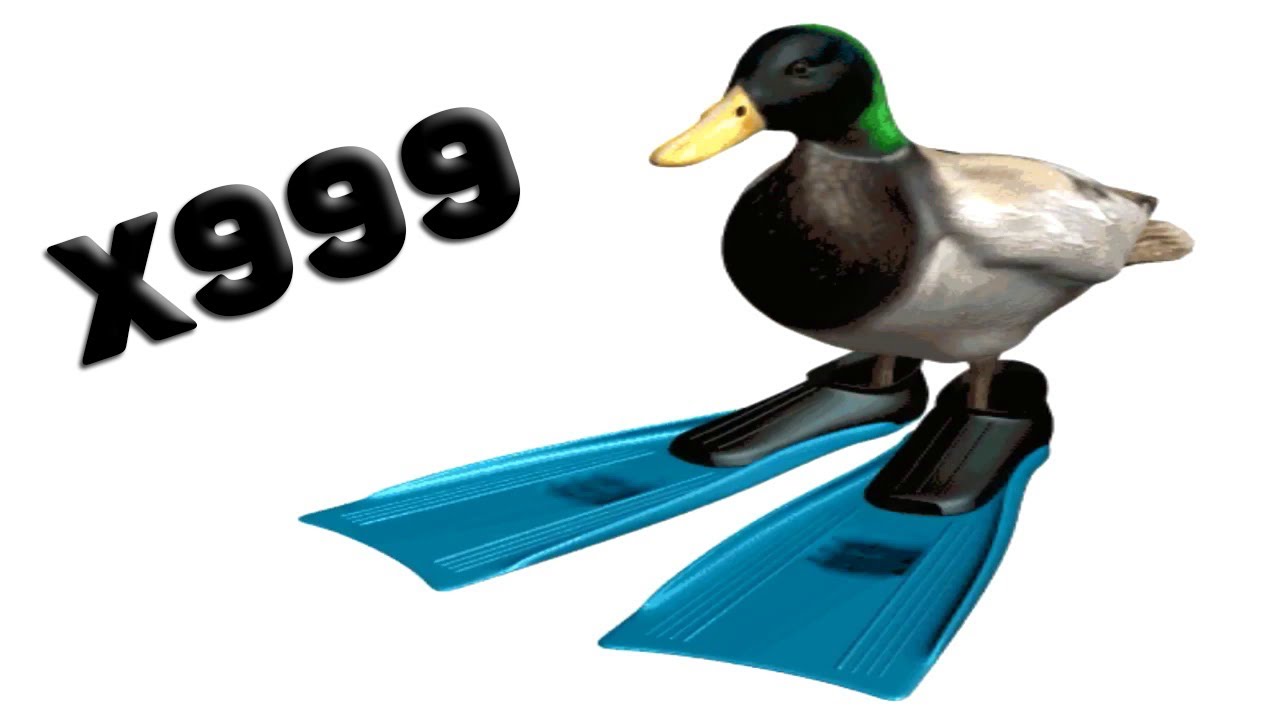 duck spinning meme - X999 - YouTube