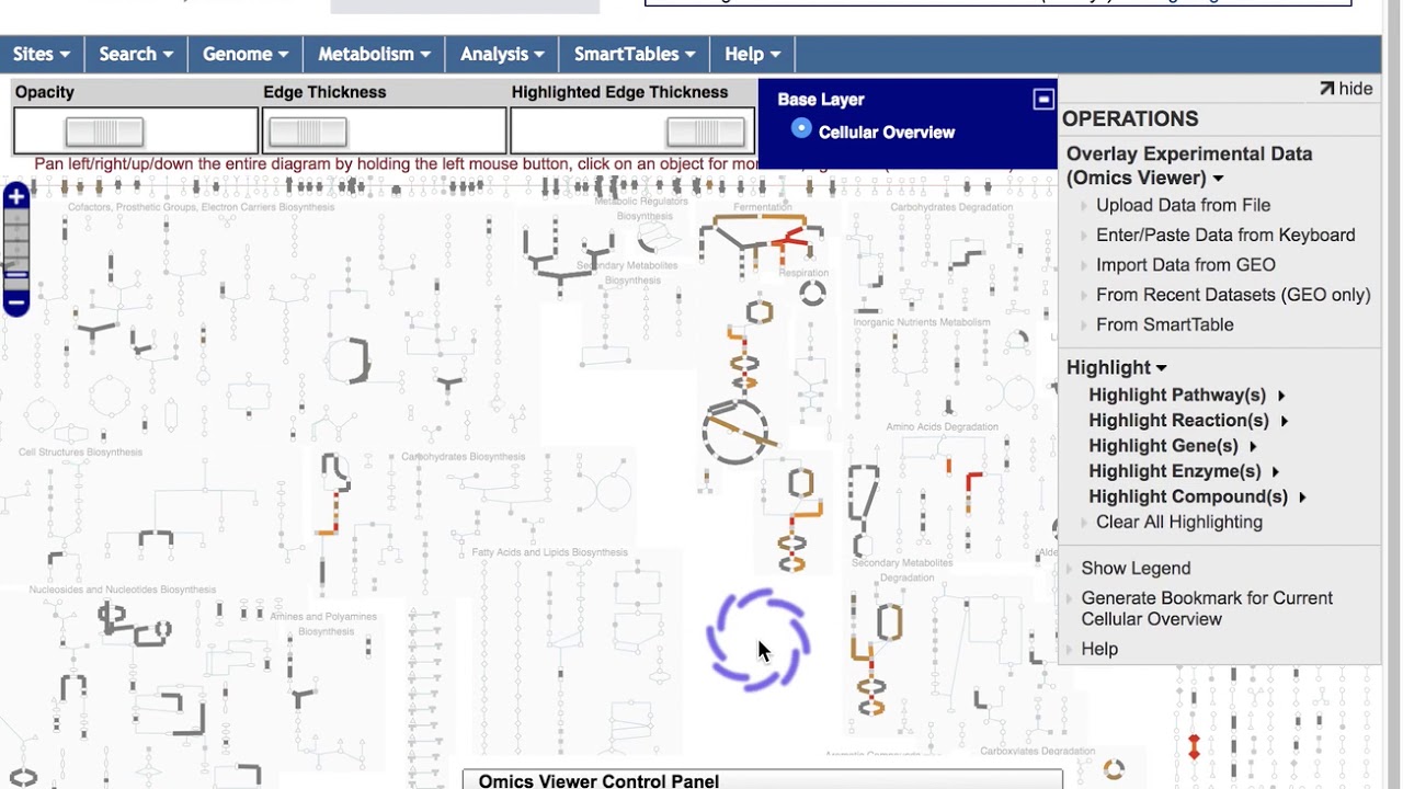 Comparative and Omics Tools in BioCyc Part 2 - YouTube