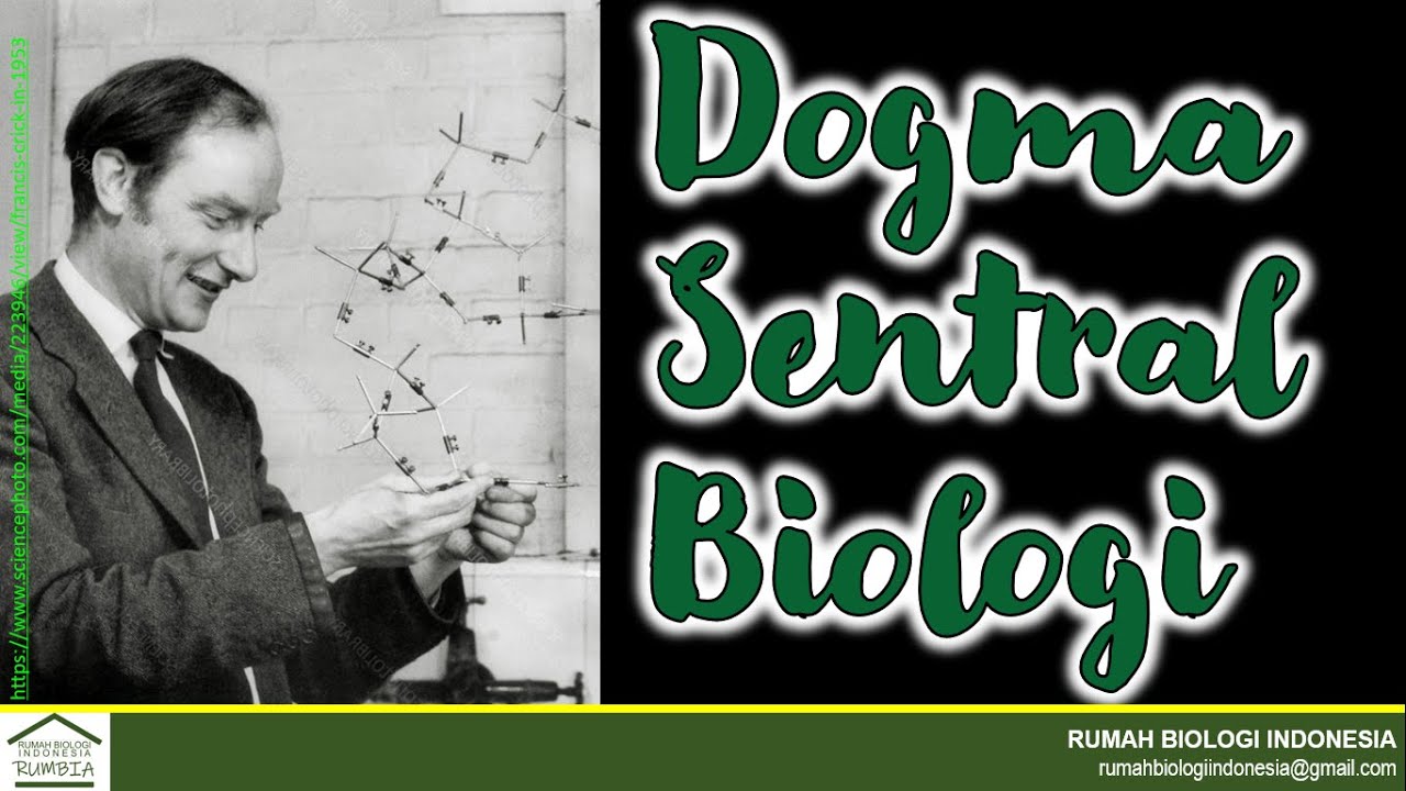 Materi Belajar Biologi #DiRumahAja - Genetika - Dogma Sentral Biologi ...