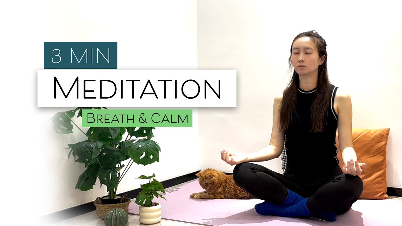 3 Minute Meditation for Breathing & Calm | Refresh Your Mind, Stay Calm ...