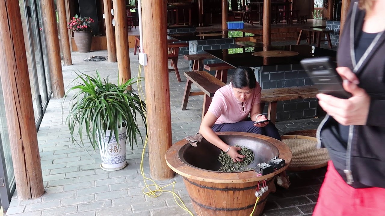 Drying tea in China tea plantation - YouTube