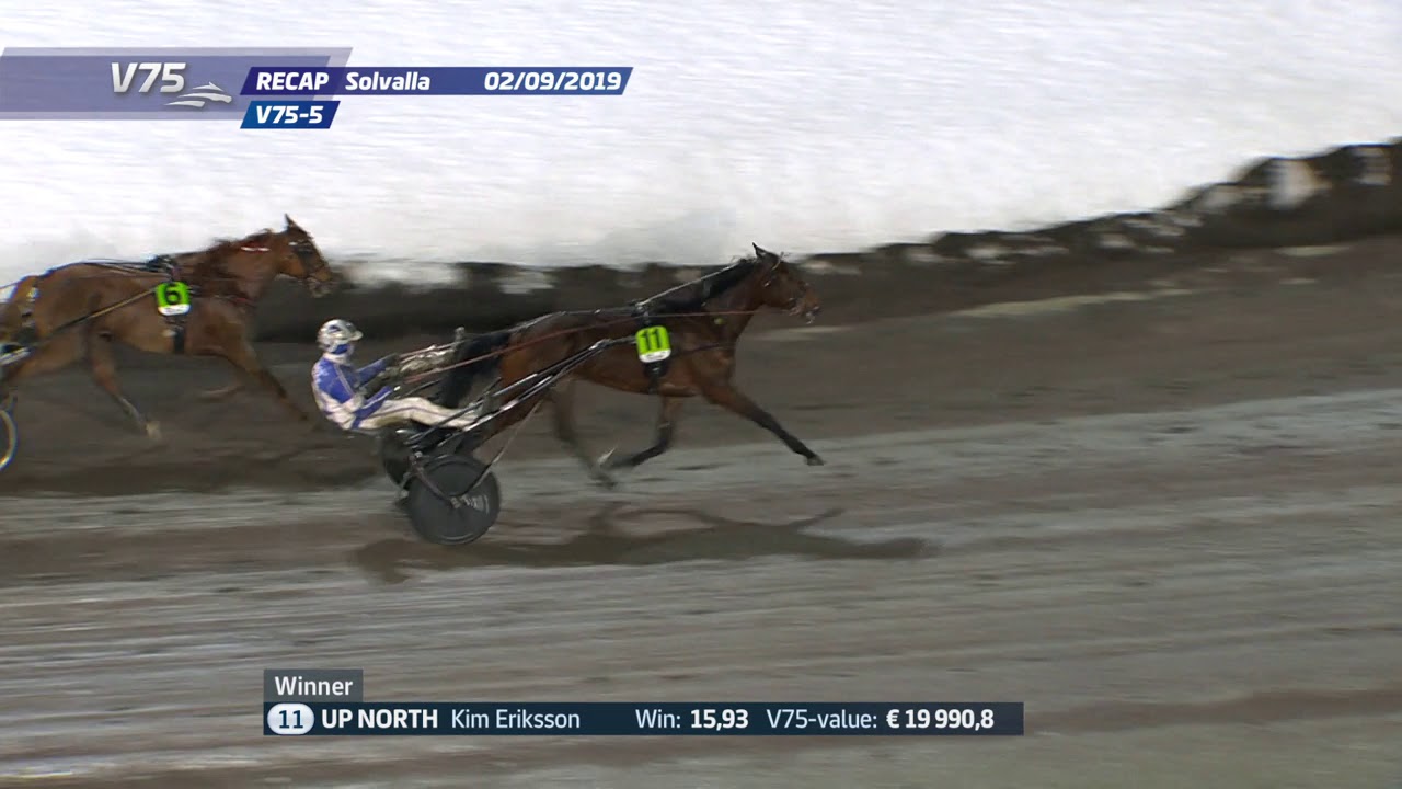 V75 RECAP SHOW February 9 2019 - YouTube