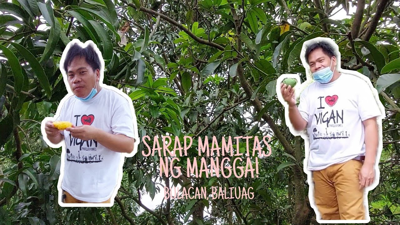 Sarap Mamitas ng Mangga🥭 | First Vlog - YouTube
