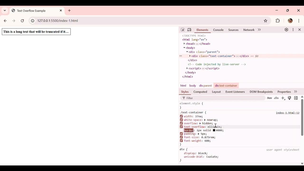 Text OverFlow Example in html . How to handle Text With dot dot dots...#html#css#react # ...