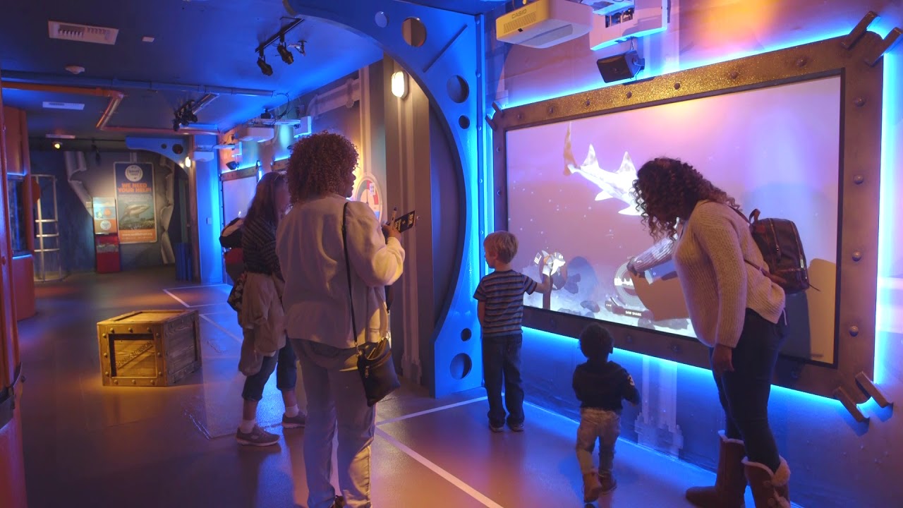 Sea at Night and Shark Mission at SEA LIFE Aquarium - YouTube