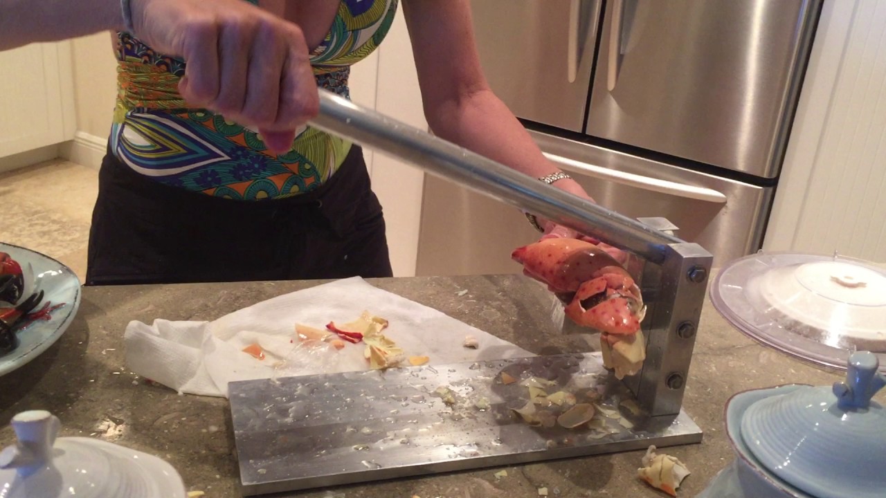 Cracking a Gargantuan Stone Crab Claw with Easy to Use Cracker - YouTube