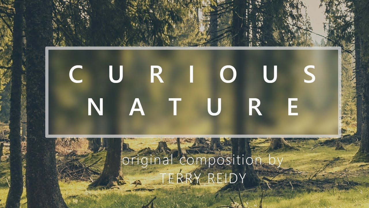 Curious Nature - Original composition by Terry Reidy - YouTube