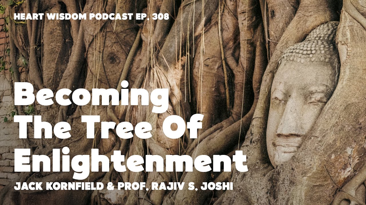 Becoming the Tree of Enlightenment with Prof. Rajiv S. Joshi & Jack ...