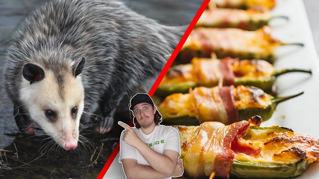 I Made Possum Poppers! (Catch Clean Cook) - YouTube