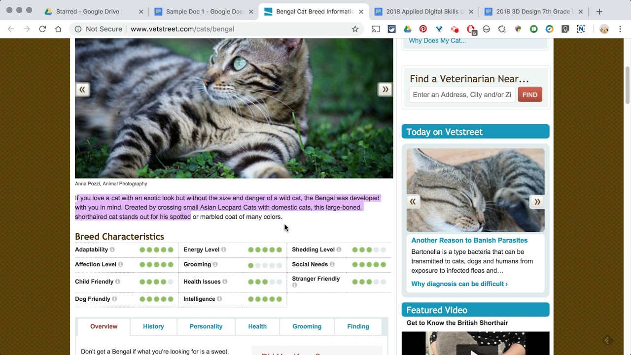 Google Docs: Explore Tool - YouTube