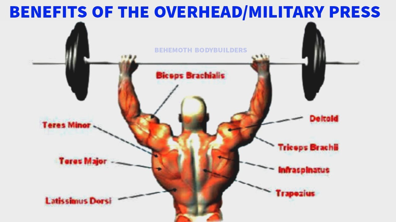 Benefits of The Overhead/Military Press - YouTube