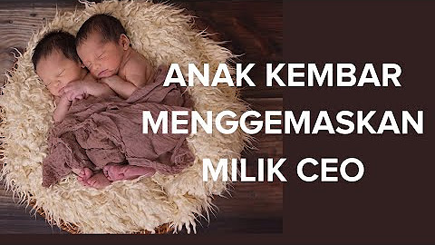 Anak Kembar Menggemaskan Milik CEO - YouTube