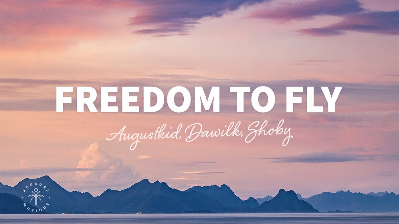 AUGUSTKID, Dawilk, Shoby - Freedom To Fly (Lyrics) - YouTube