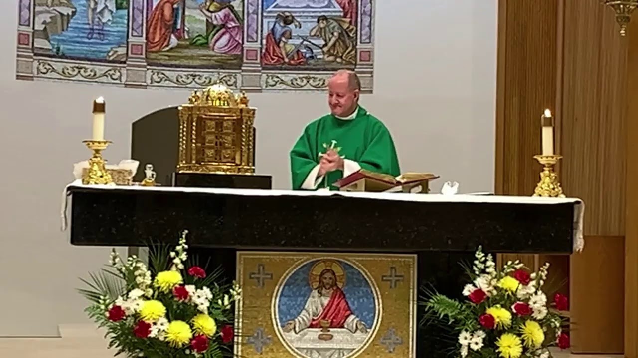 Saturday, November 7, 2020 - 4:00 PM Saturday Vigil Mass with Fr. Phil ...