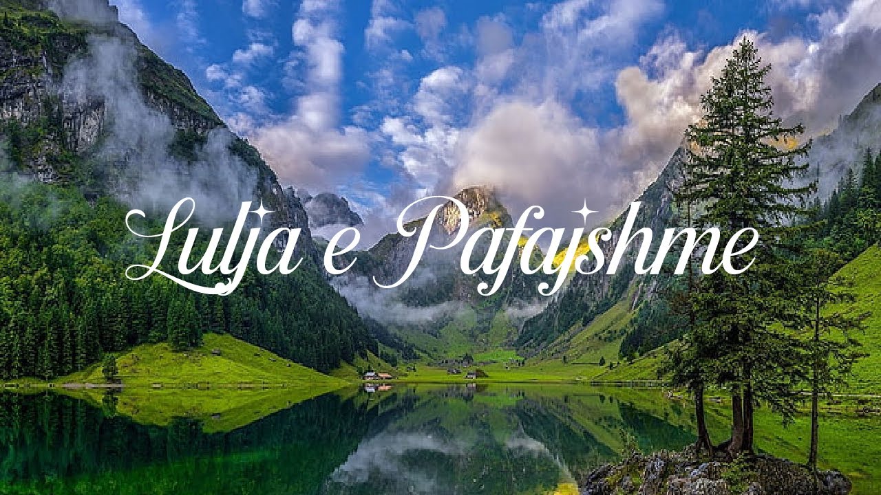 "Lulja e Pafajshme" - Një video e cila sjell një mesazh te mirë për ...