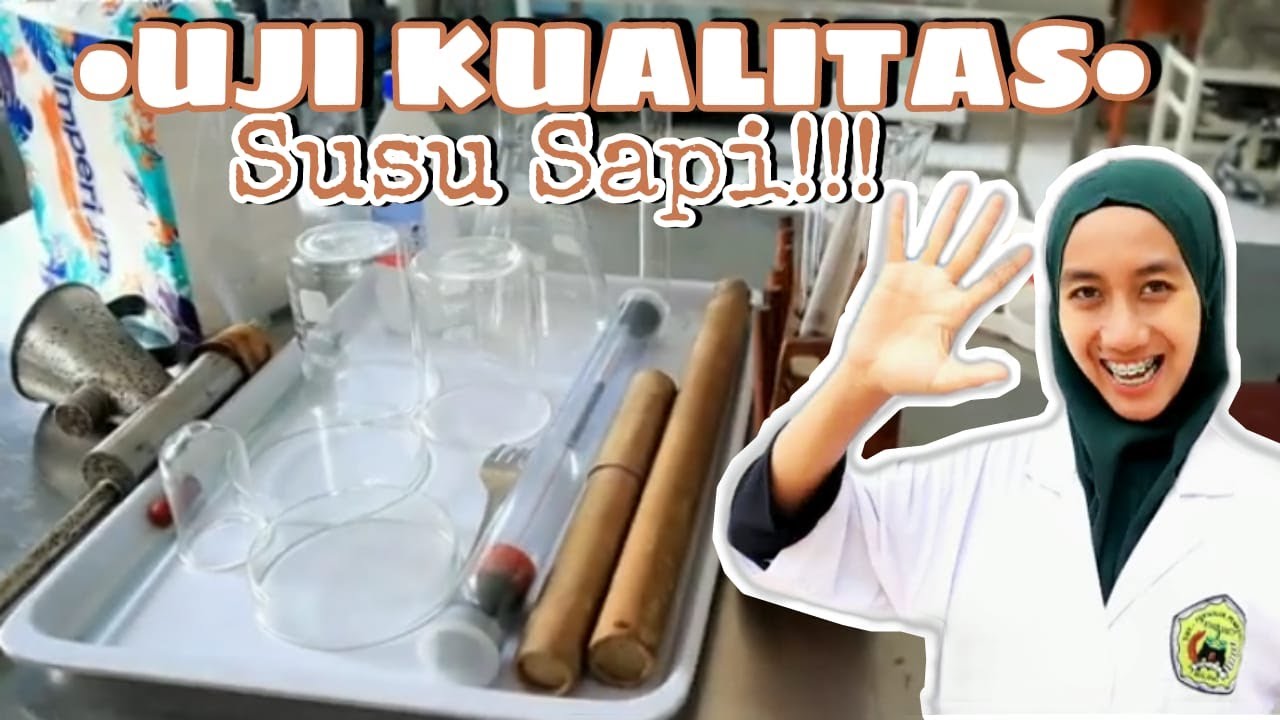 SUSU SAPI !!! UJI PEMERIKSAAN KUALITAS SUSU SAPI PERAH YANG BAIK ...
