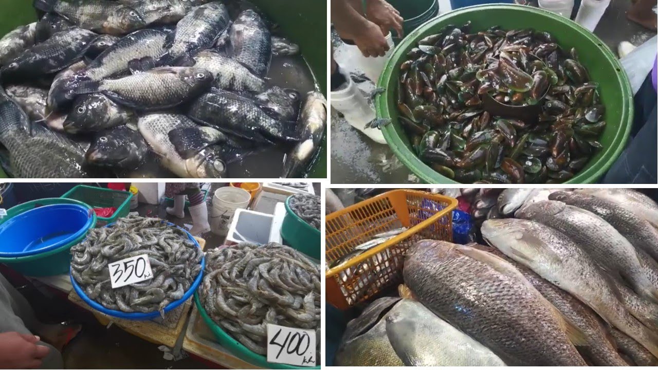 Bagsakan ng Isda sa Manila - Bulungan Seafood Market (Cheapest Seafood ...