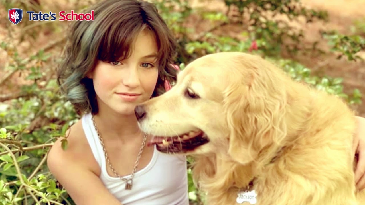 Tate's Pets - YouTube