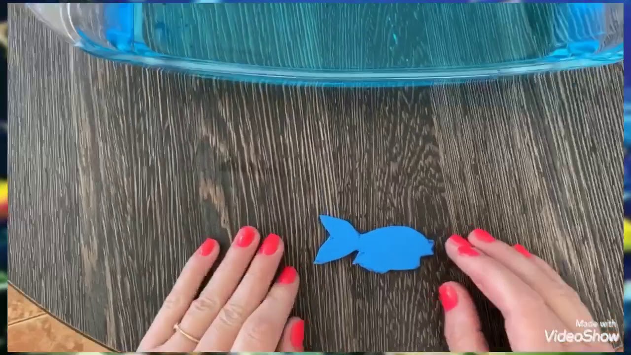 Fishing at home - YouTube