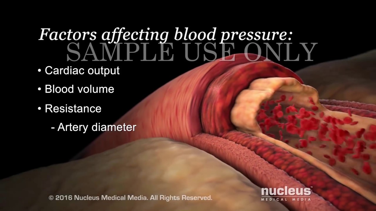 Understanding Basic Blood Pressure Control | Nucleus Health - YouTube