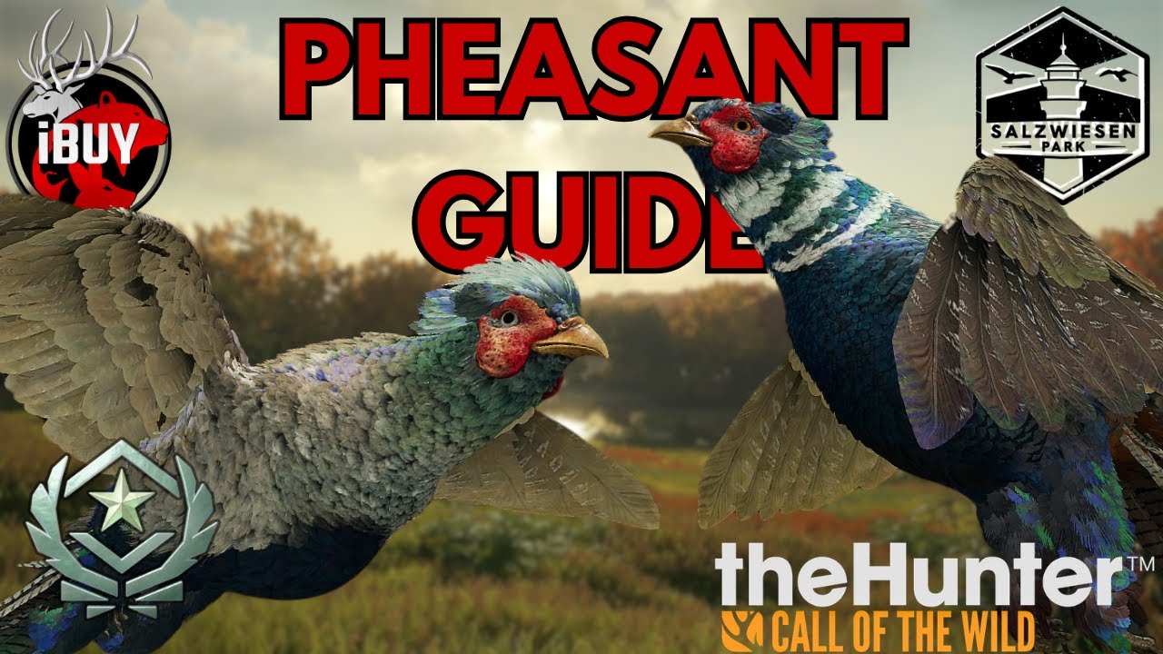 Great One PHEASANT Hunting Made EASY | theHunter: Call Of The Wild ...