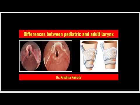 Differences between pediatric and adult larynx // Dr. Krishna Koirala ...