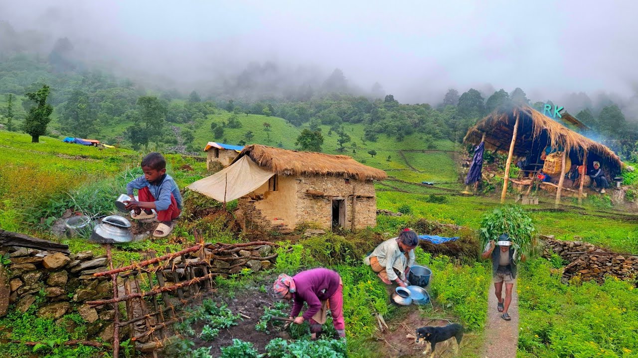 This is Himalayan Nepali village life || daily activities in people ...