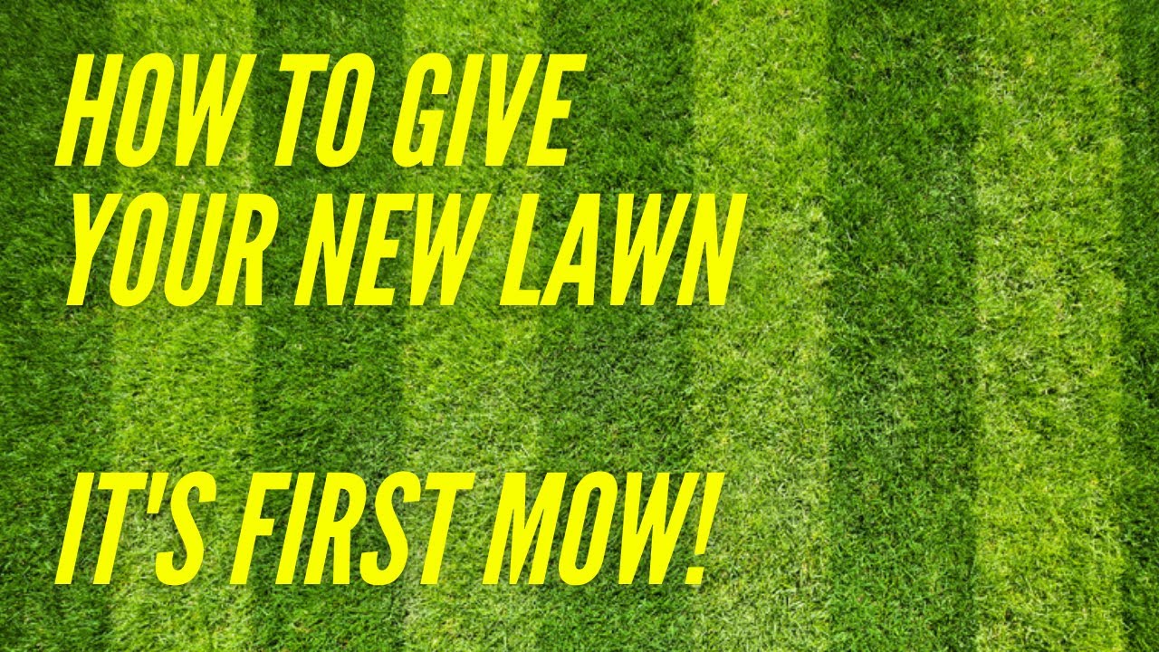 HOW TO GIVE YOUR NEW LAWN ITS FIRST MOW - YouTube