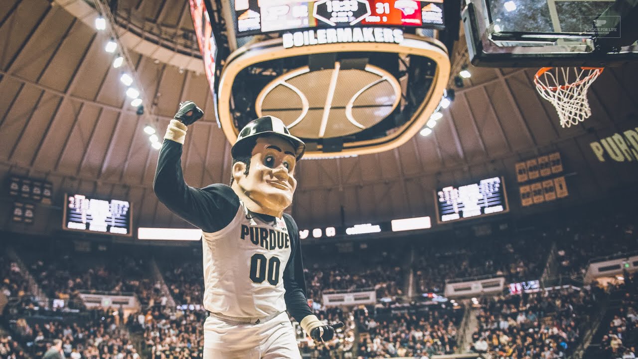 Sandstorm Dance | Purdue vs. Yale | 11/11/2024 - YouTube