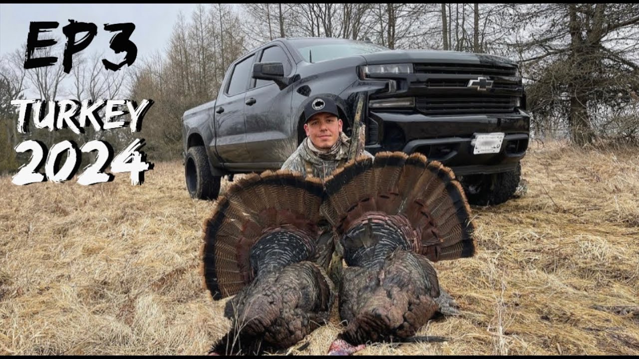 EPIC MORNING TURKEY HUNTING - TWO GOBBLERS DOWN - TURKEY REAPING - YouTube