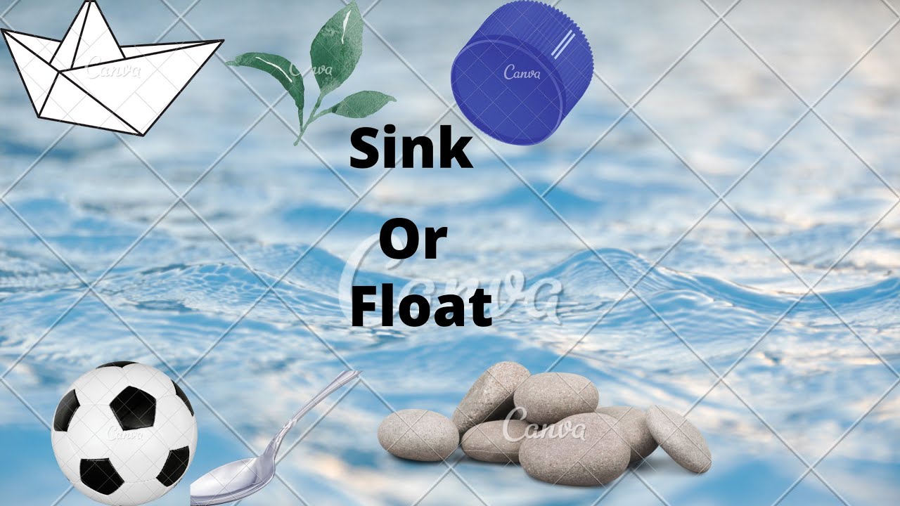 sink and float | things that sink and float |( experiment time) | coll ...