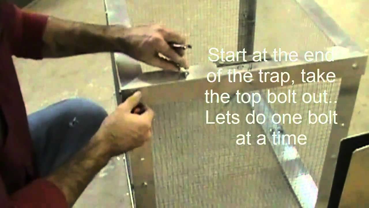 Turtle Trap (Dunn's Sure Ketch Turtle Trap - YouTube