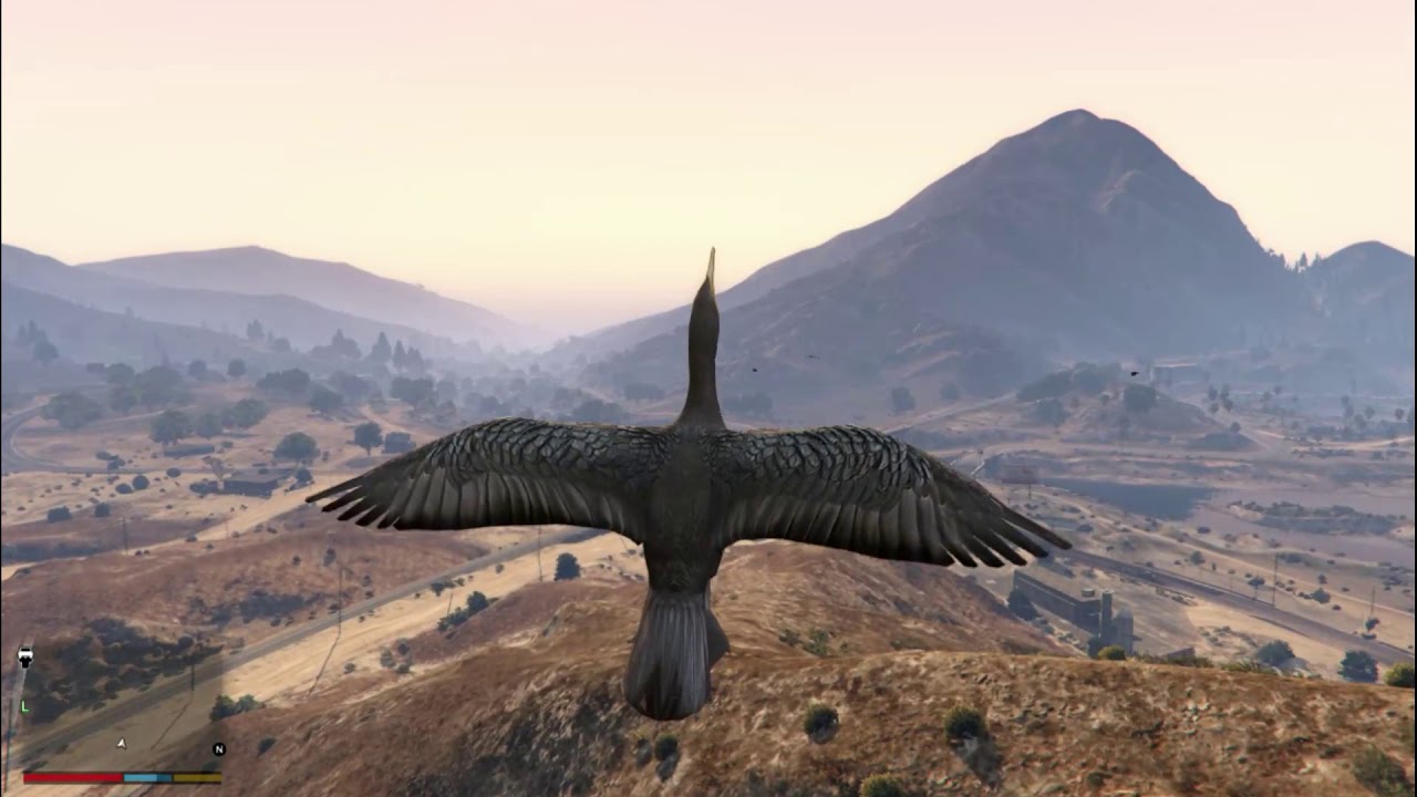 Becoming Birds in GTA V - YouTube
