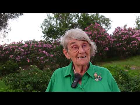 REFLÜYÜ NELER TETİKLER? \