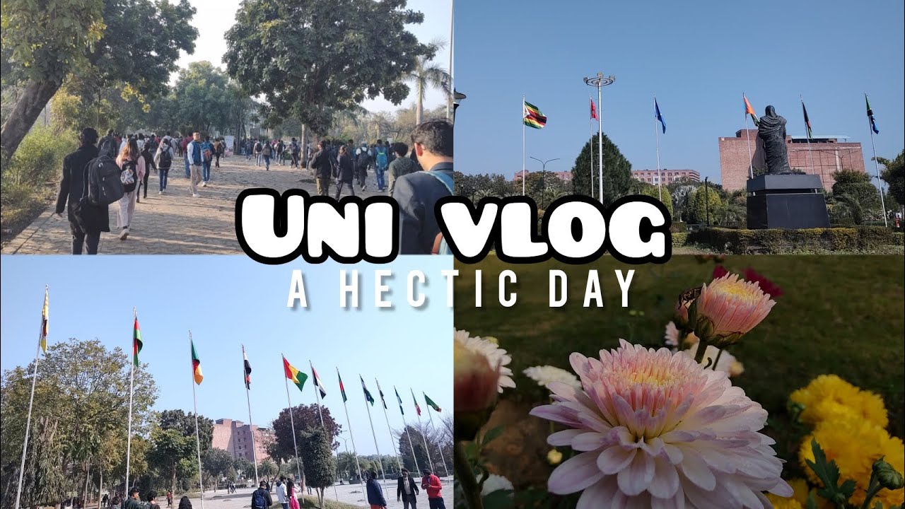 University Vlog|| A hectic day || Study Vlog|| Solo Diaries19 - YouTube