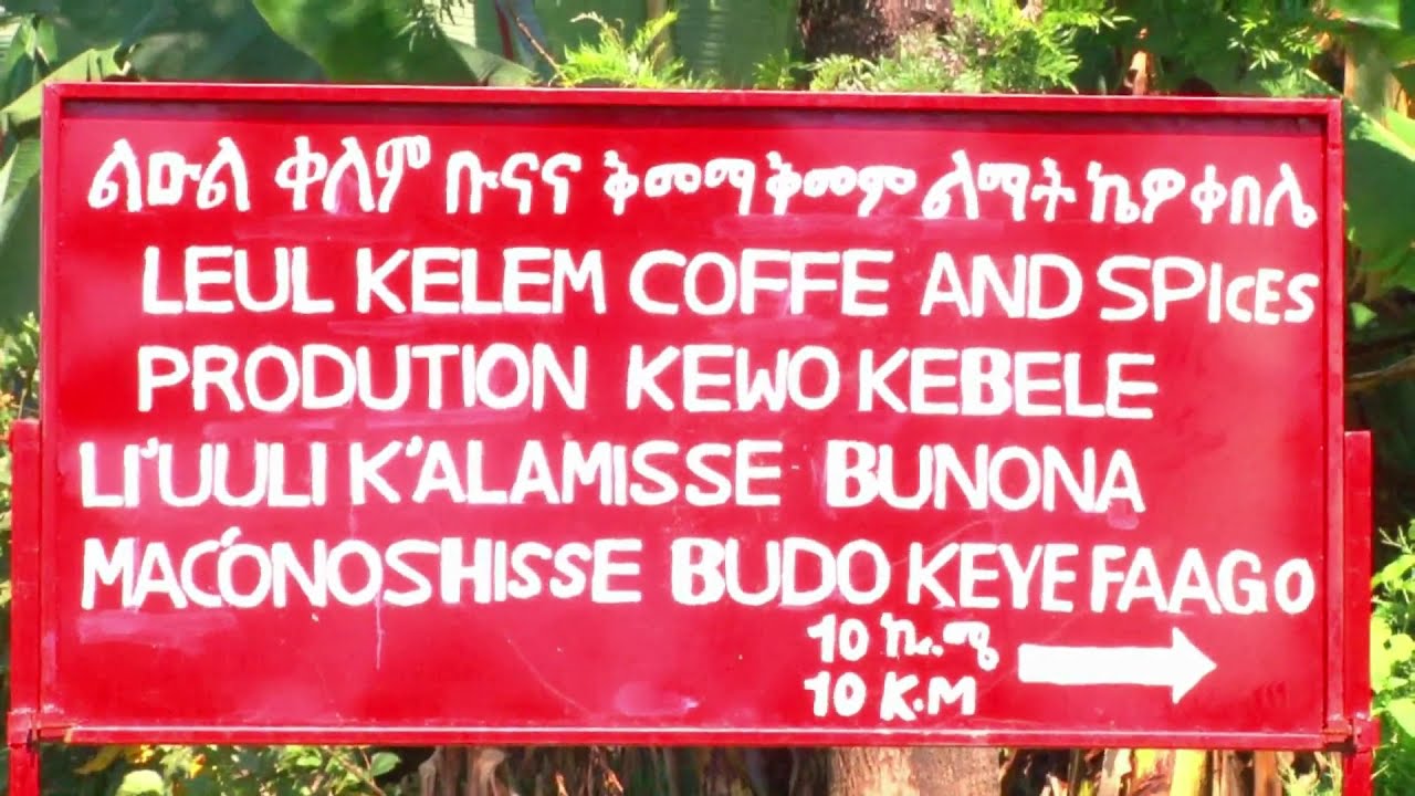 Leul Kelem Coffee and Spices Development - YouTube