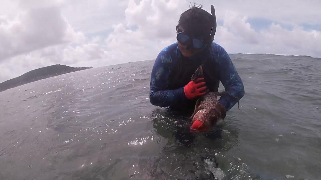 Tako Diving Oahu - YouTube
