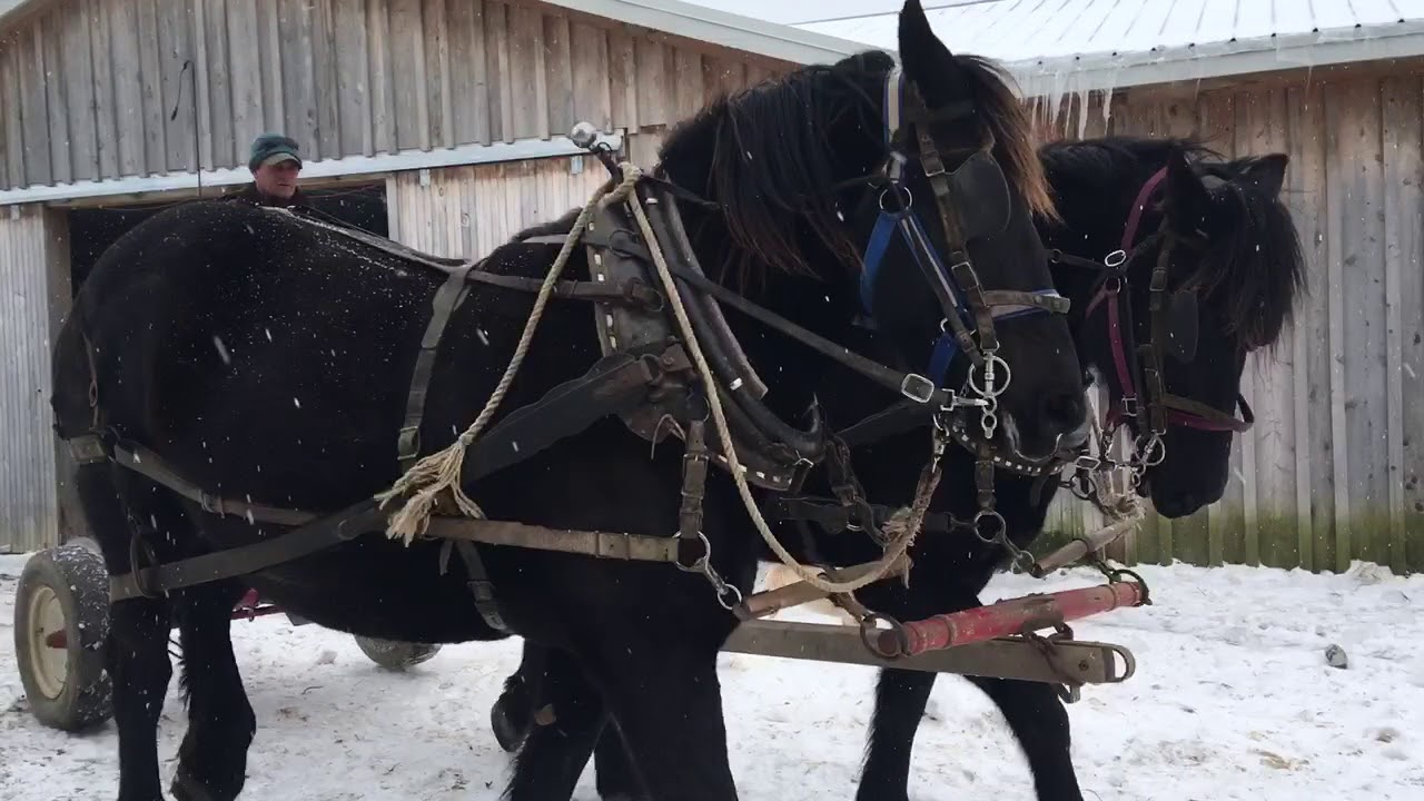 Rafter R Ranch - YouTube