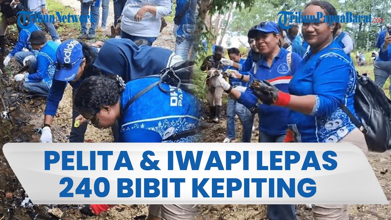 Hari Bumi, Pelita dan IWAPI Kompak Lepas 240 Bibit Kepiting di ...