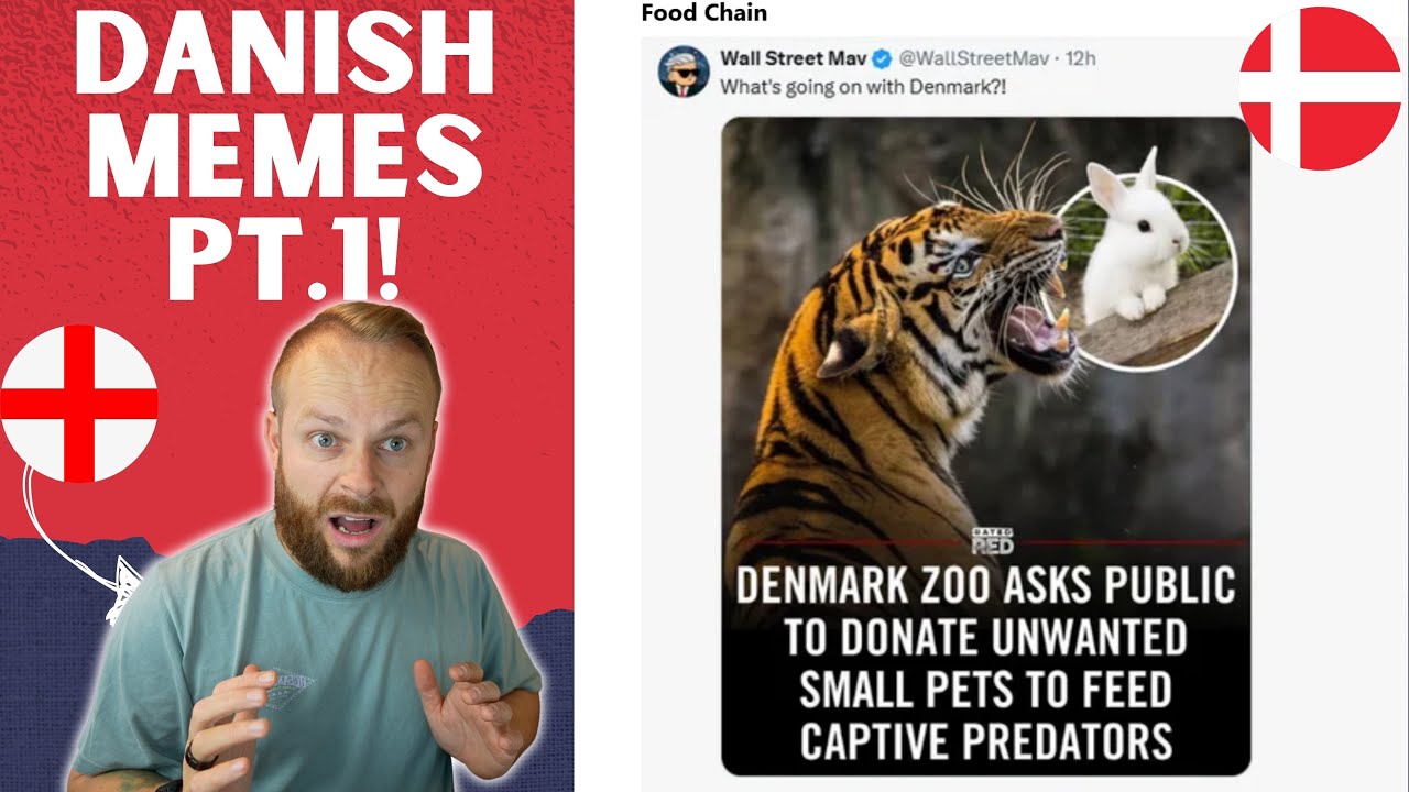 Englishman Reacts to... Only in Denmark! | MEMES Pt. 1 - YouTube