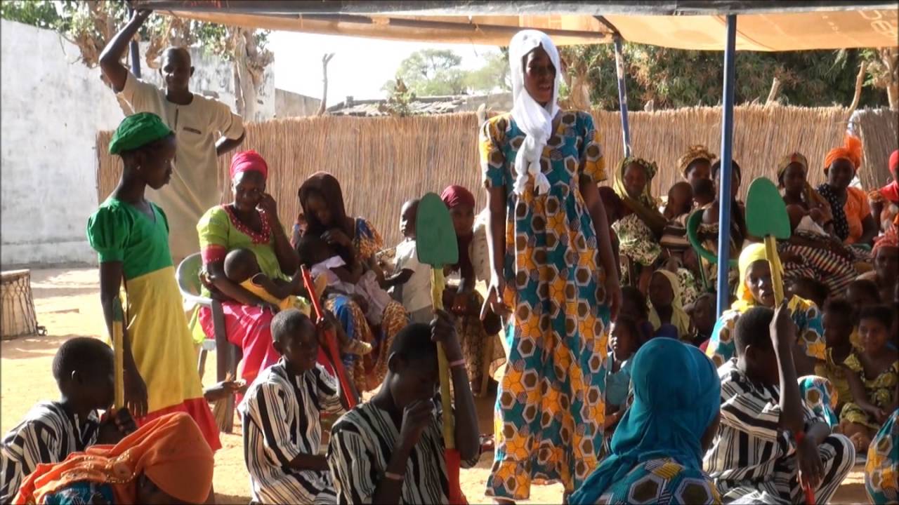 Mission Gambienne: apprendre de l’expérience du Sénégal pour l'abandon ...