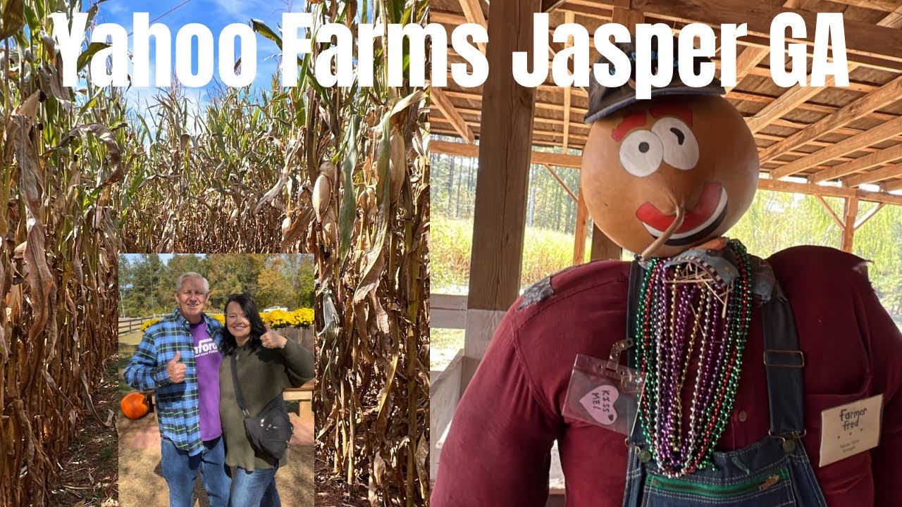 Yahoo Farms Jasper GA - Hayride, Corn Maze, Corn Cannon & More! Super ...