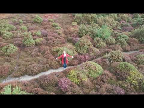 Autumn 2020 Teaser - YouTube
