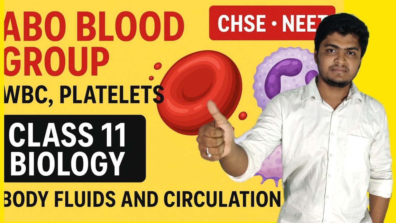 🩸 ରକ୍ତର ଗଠନ:WBC, Platelets, ABO Blood Group | Body Fluids & Circulation ...