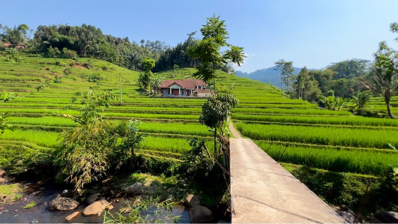 walk in the village | the most beautiful village in the world ...