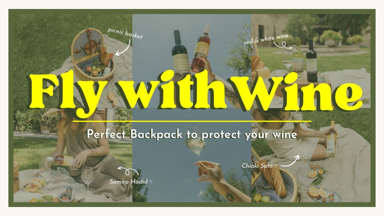 Fly With Wine Backpack#adulting #youtube #wine - YouTube