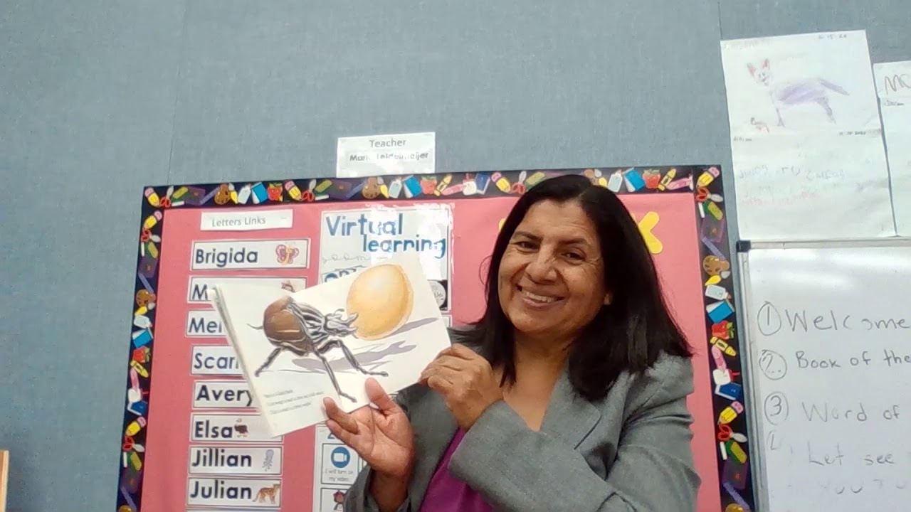 Amazing Insects, Written by L. Patricia Kite, Illustrated by Katherine ...
