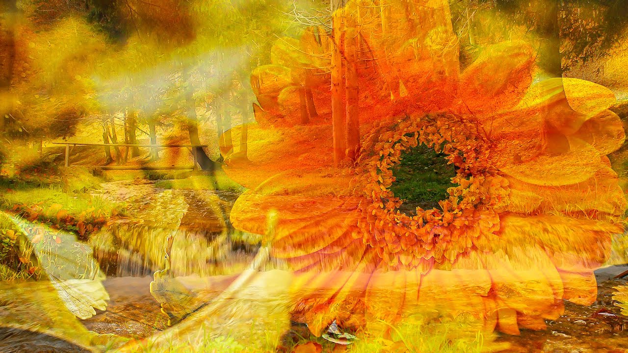 In Culori de Toamna - Septembrie - YouTube