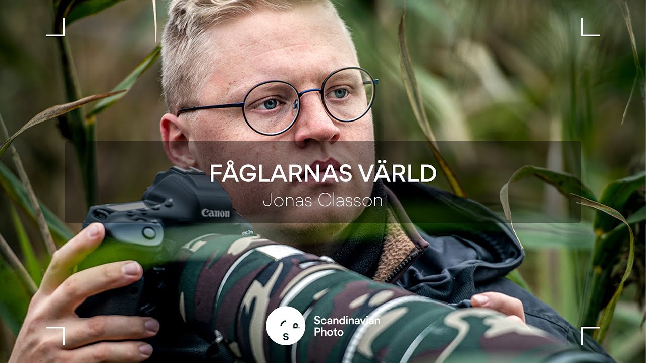 Fåglarnas värld – Jonas Classon - YouTube