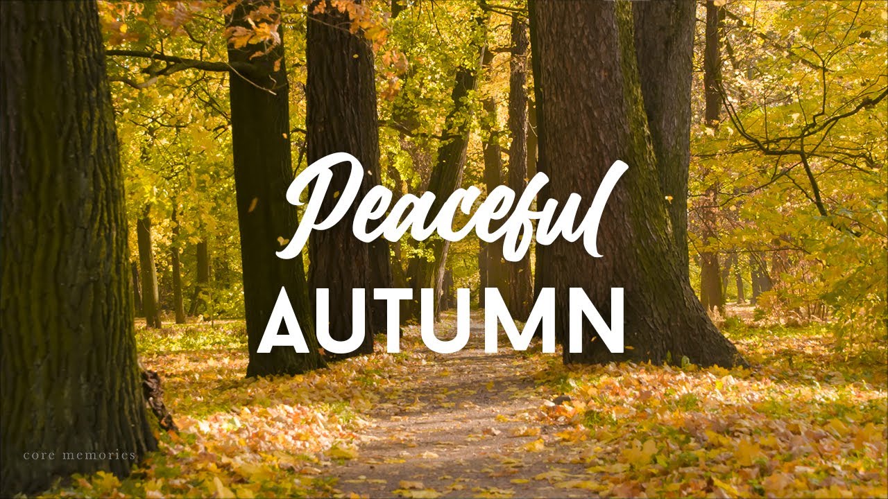 🍁 Autumn Trees | Soothing Instrumental Music, Relaxing Piano For Sleep ...